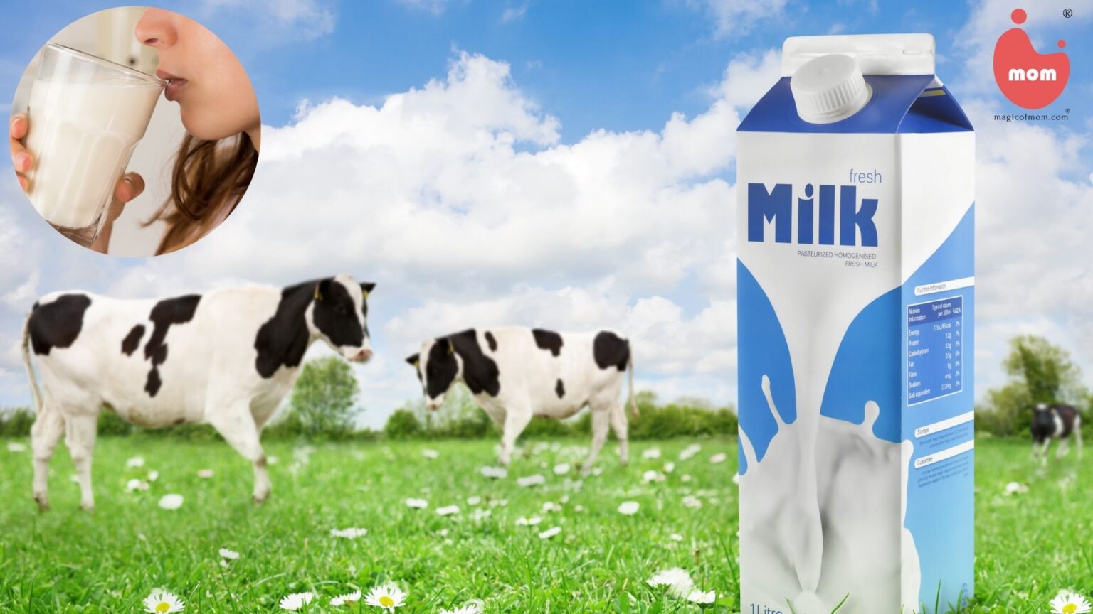 All About Dairy: Exploring Different Milk Types In India – MagicOfMom