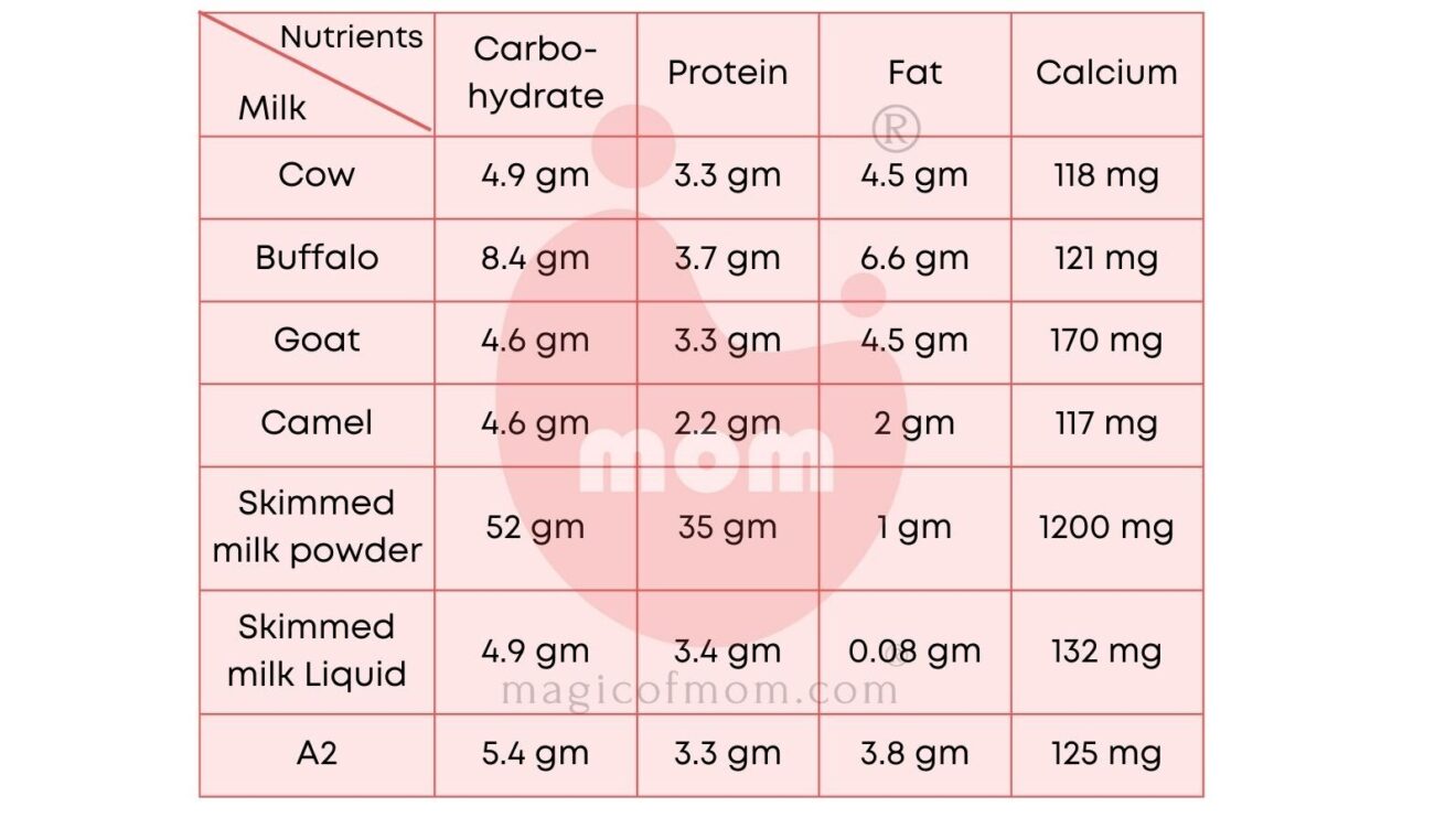 All About Dairy: Exploring Different Milk Types In India – MagicOfMom